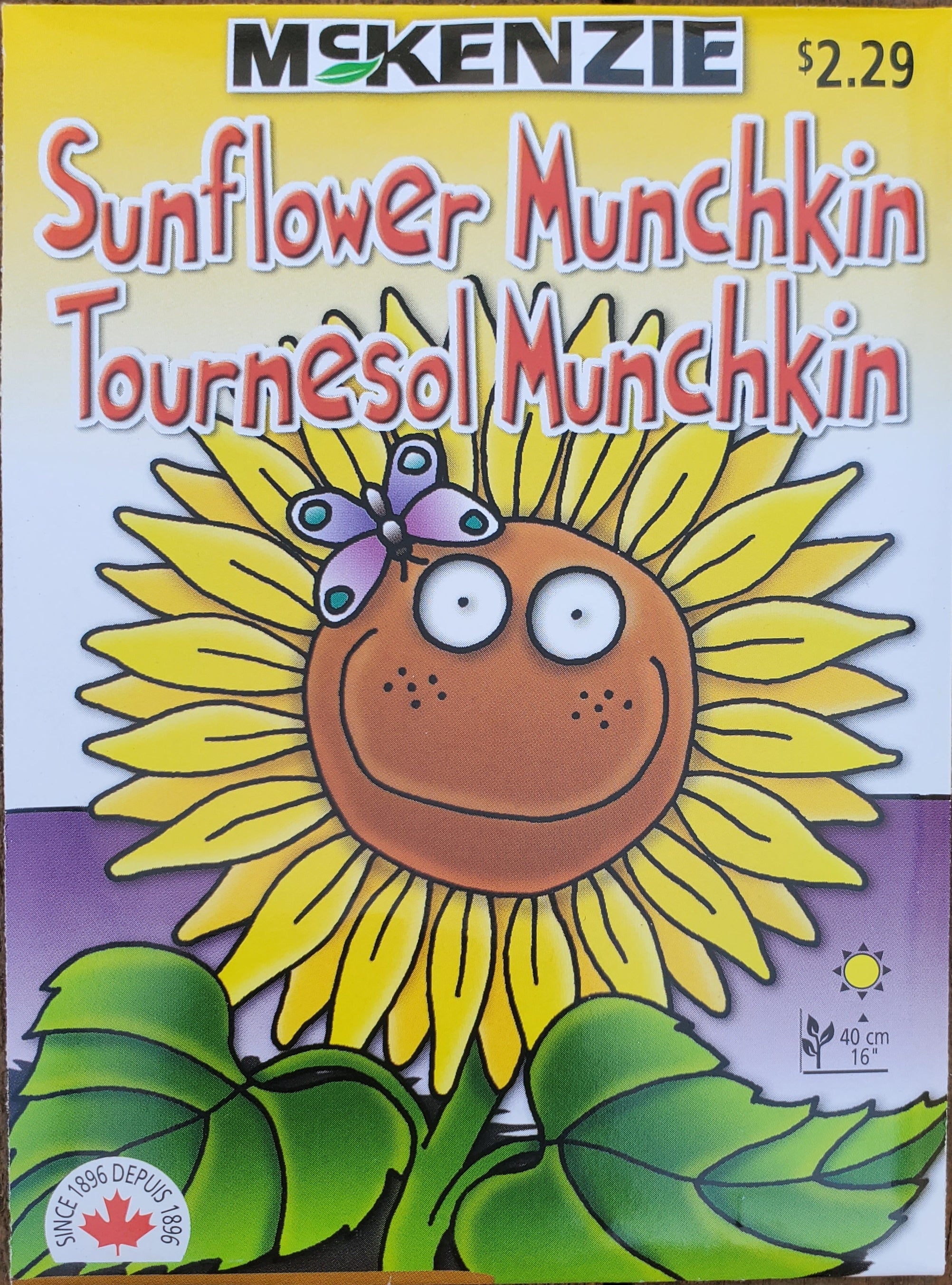Kids' Sunflower Seeds - Munchkin – Greenland Garden Centre