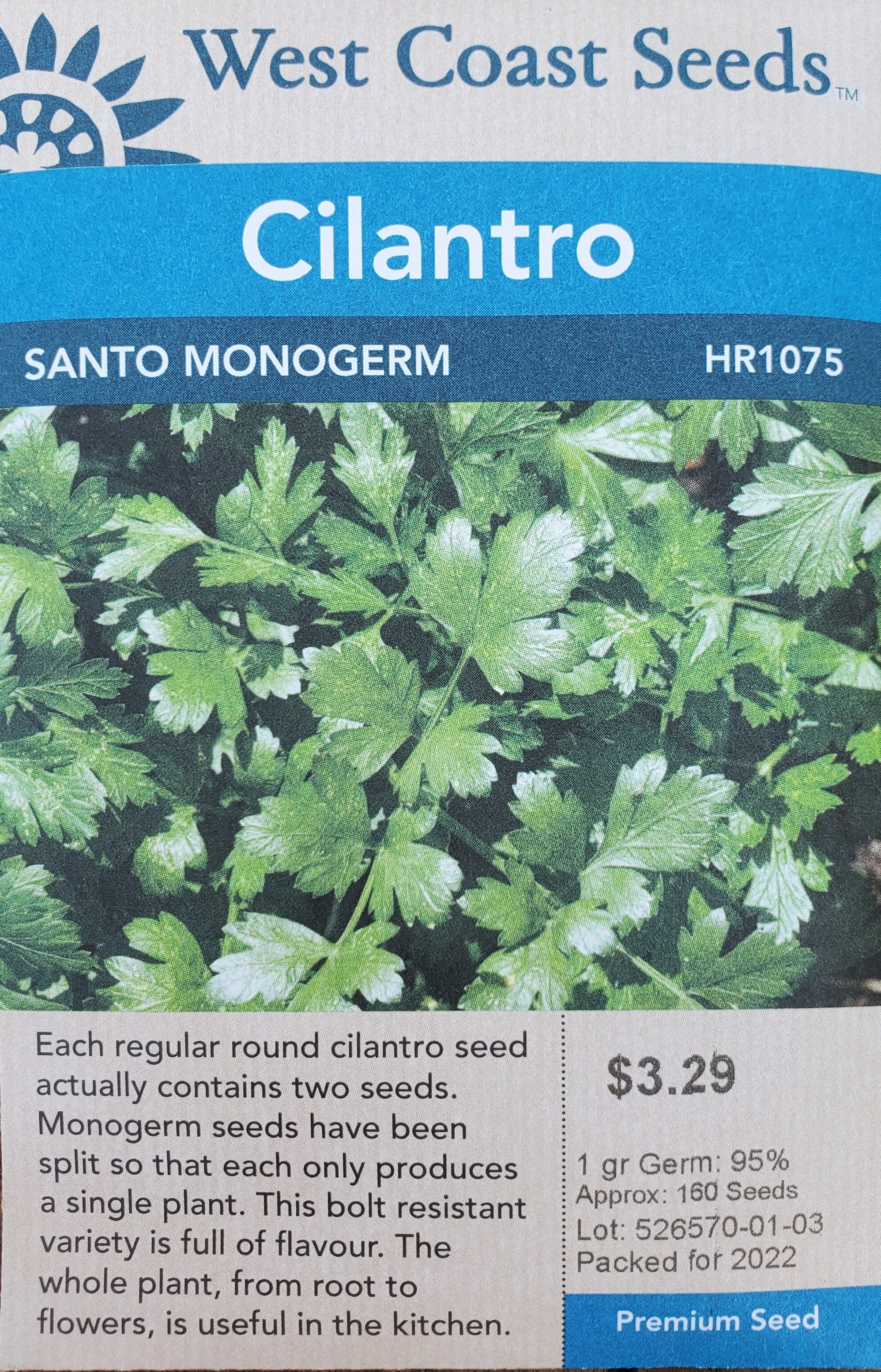Cilantro Seeds - Santo Monogerm – Greenland Garden Centre