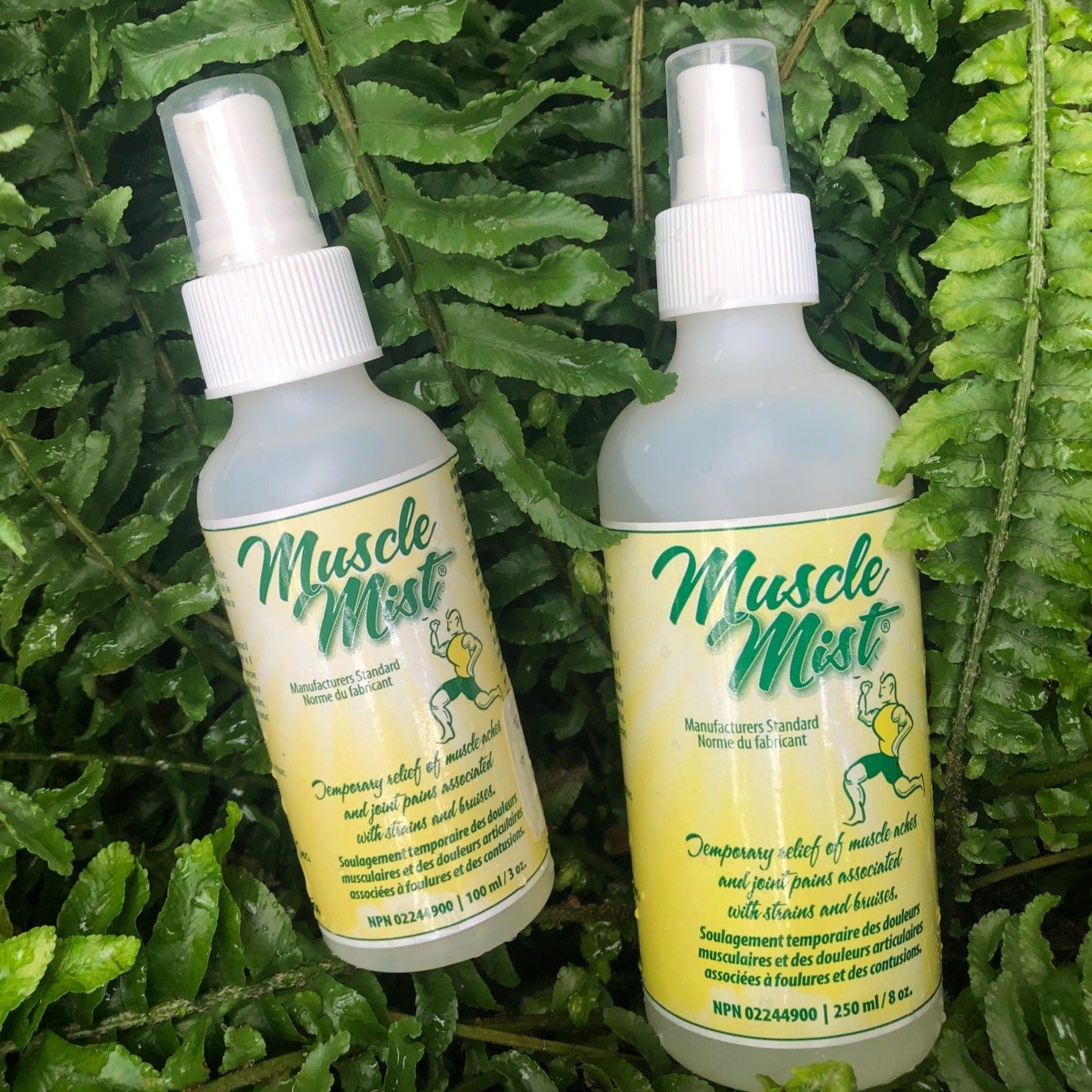 Muscle Mist – Greenland Garden Centre