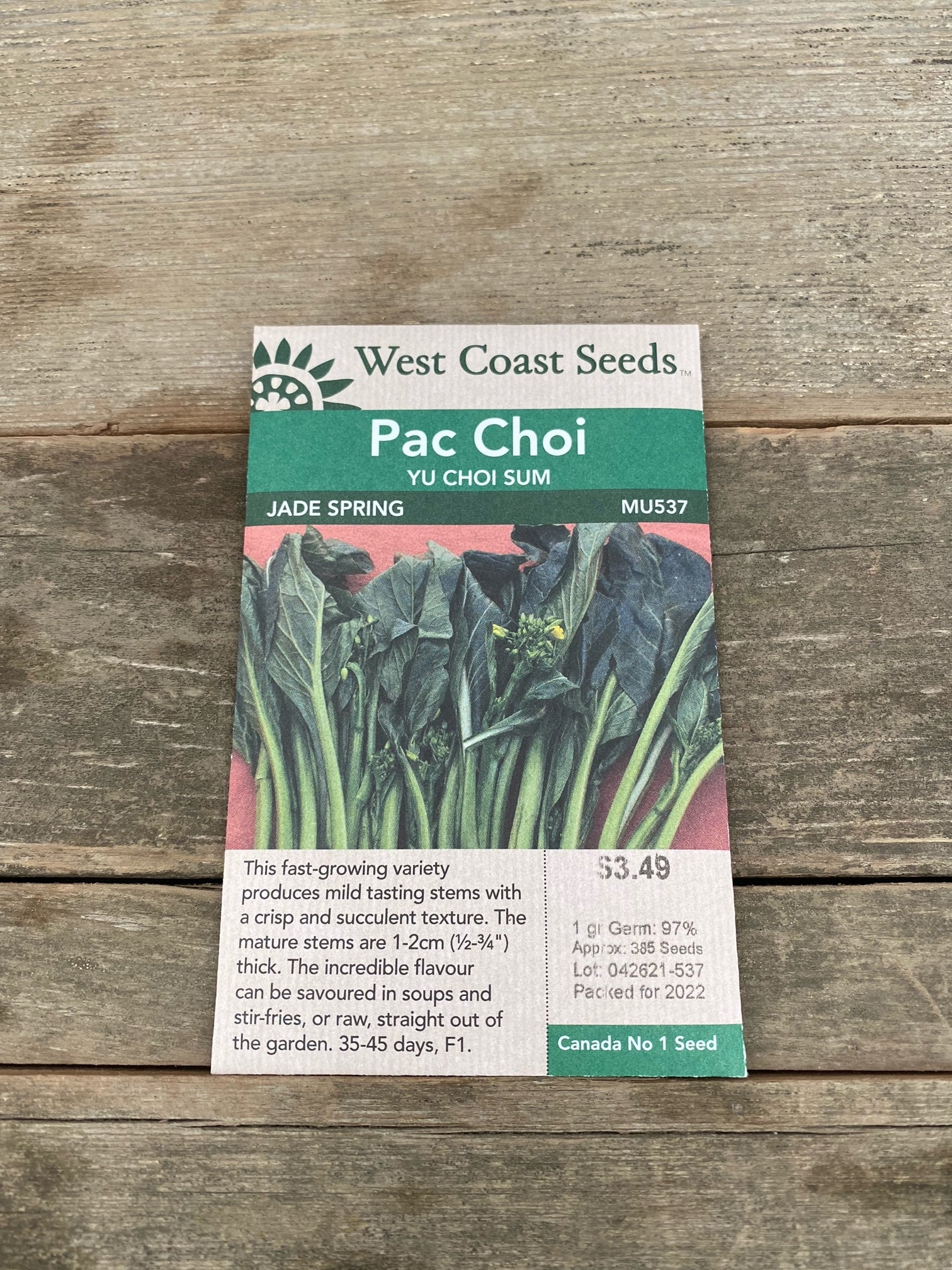 Pac Choi Seeds - Jade Spring – Greenland Garden Centre